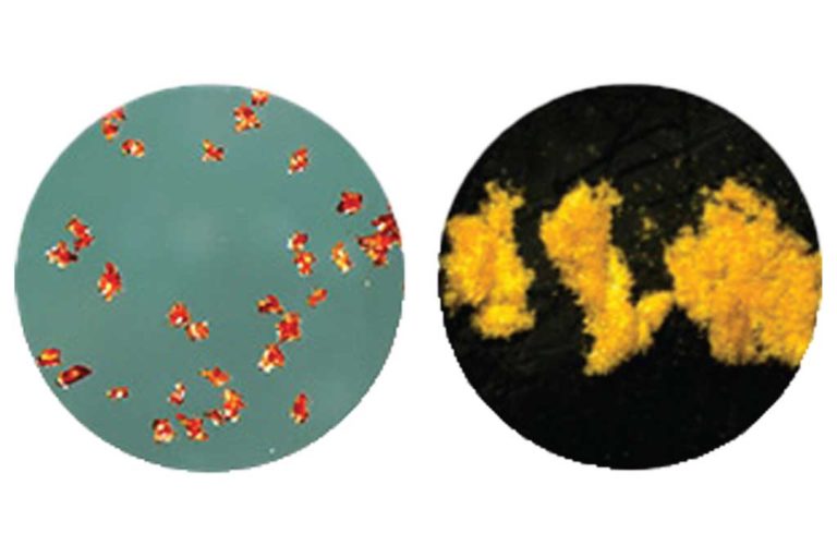 Energetics | PacSci EMC